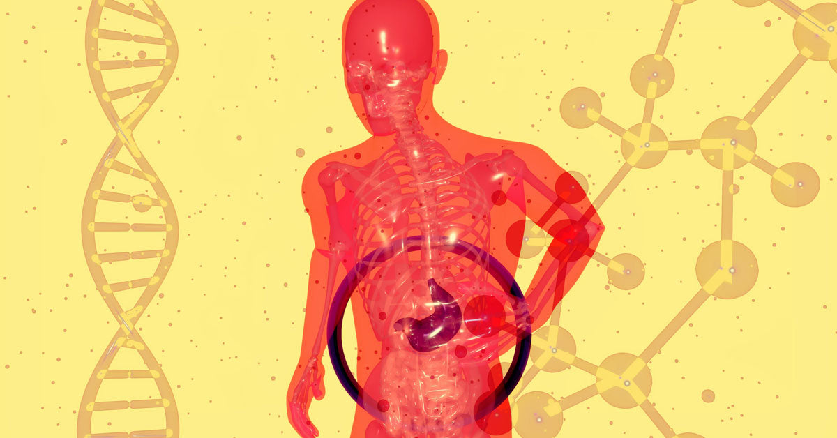 3 Ways Gut Health Affects Your Mental Health Mud Wtr