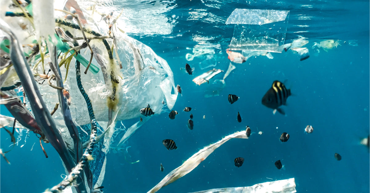 How to Stop Using So Much Plastic – MUD\WTR