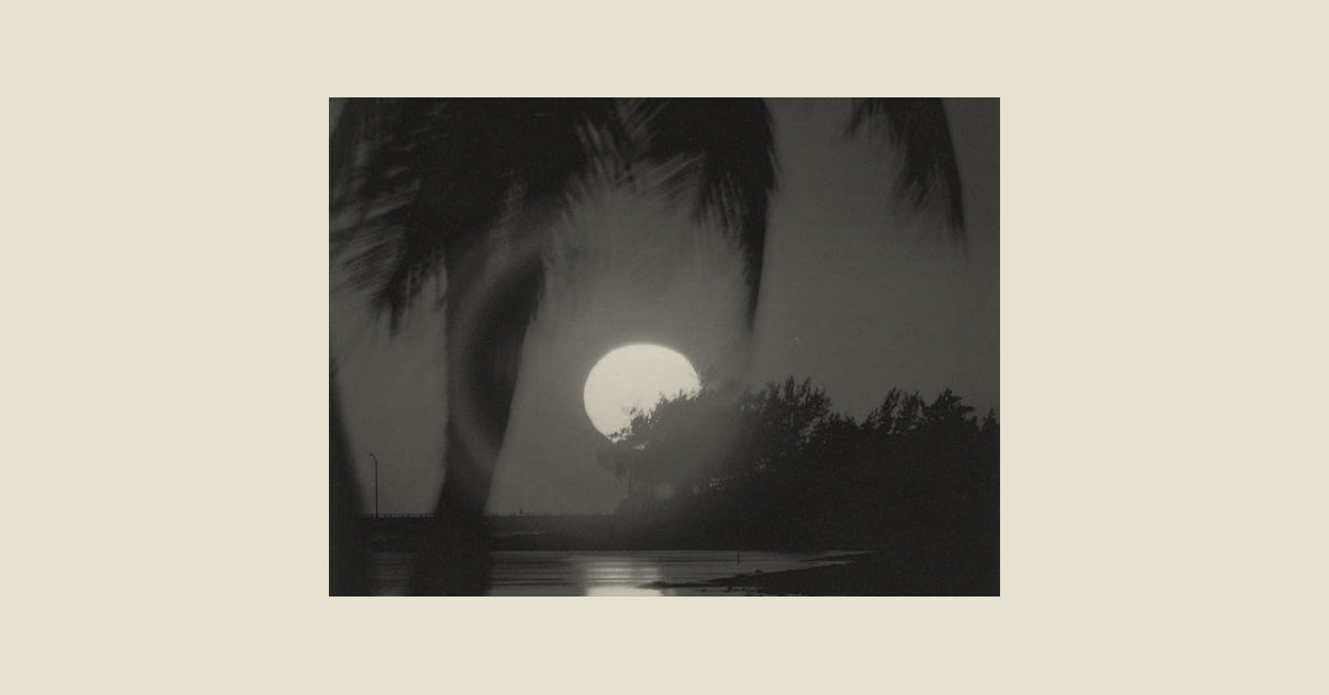 Sunset and Evening Rituals as Mental Health Tools – MUD\WTR