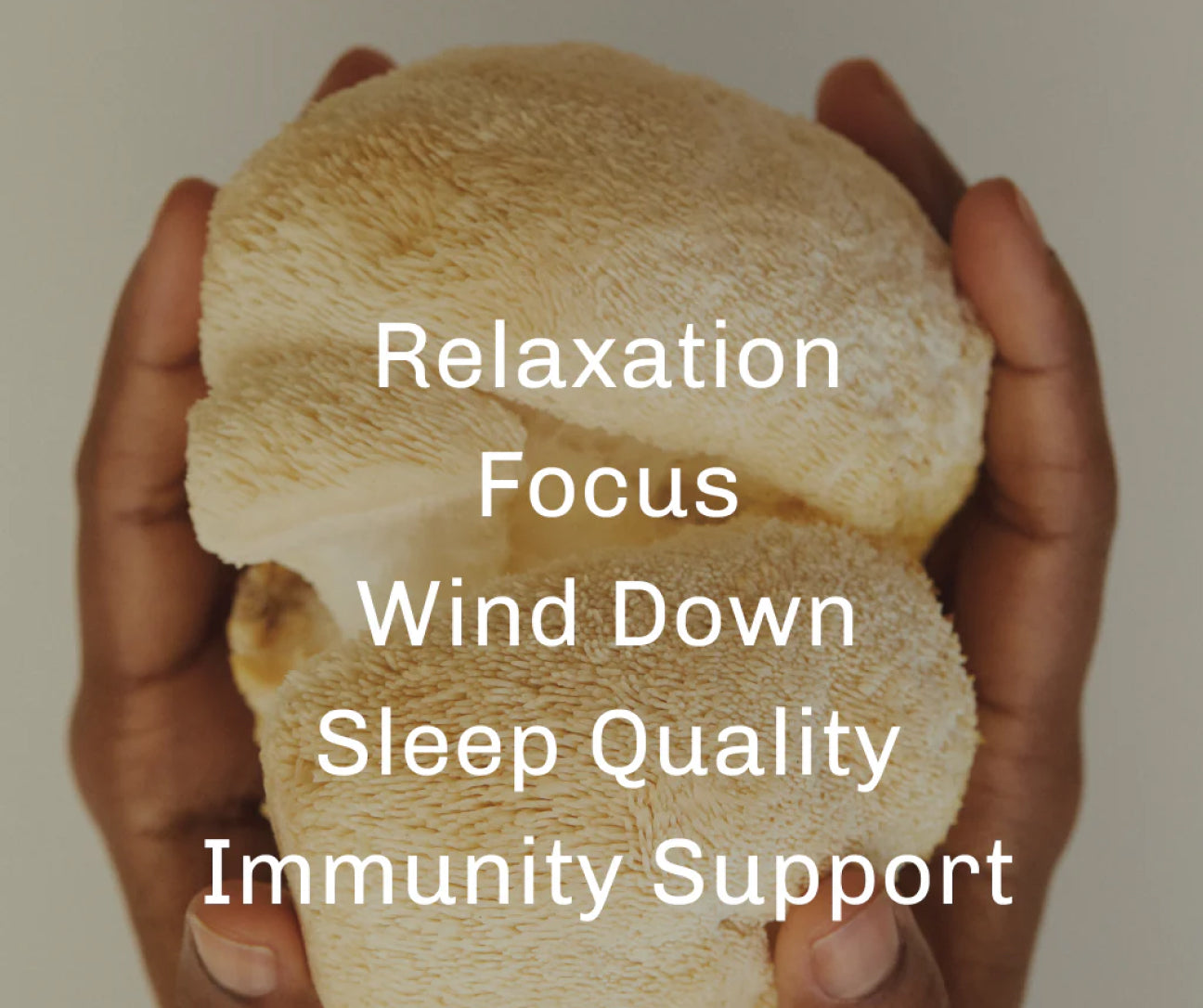 Rest Starter Kit – MUD\WTR